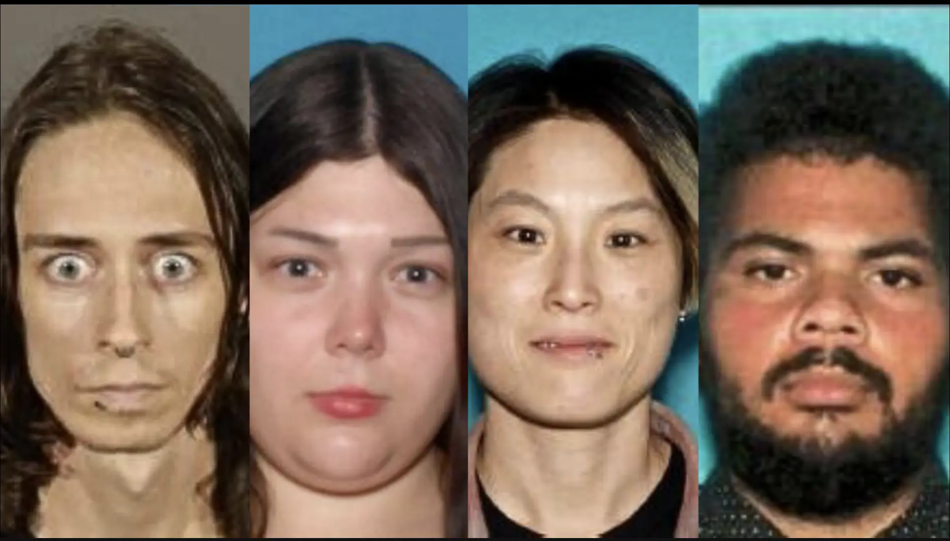 FBI arrests four plotting New Year's Eve bombing in L.A. | Goregrish