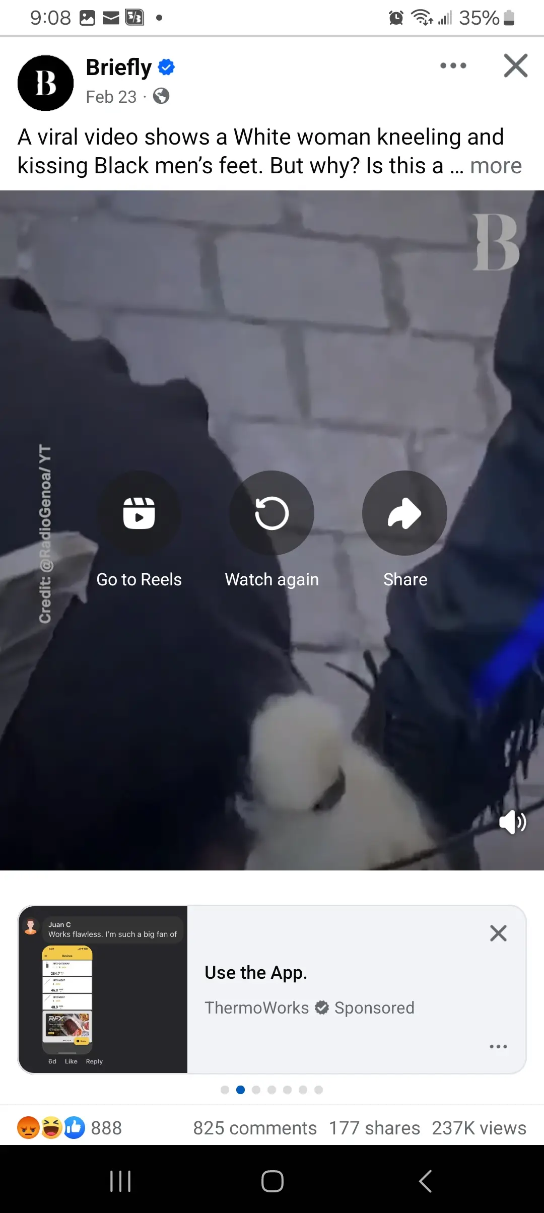 animals - Submissive white liberal woman observed KISSING the boots of ...